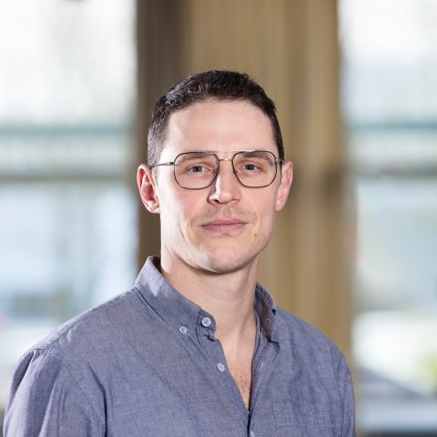 Morsure par un chat chez le chat : causes, symptômes, traitements ...