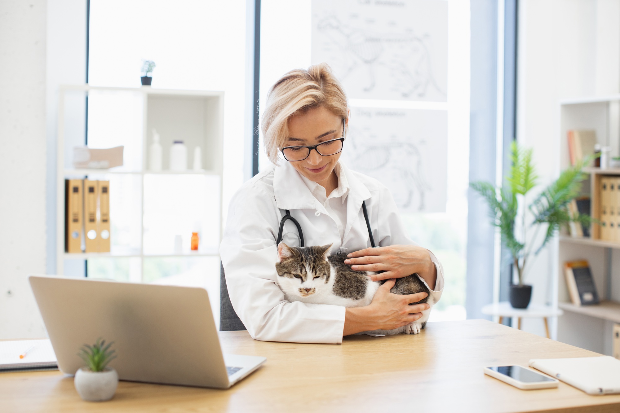 Aoûtats chez le chat : causes, symptômes, traitements | Goodflair